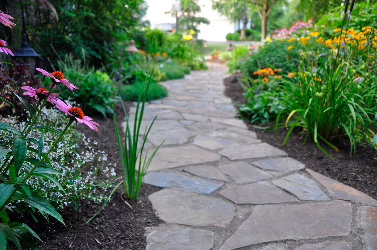 Landscape Improvements & Maintenance